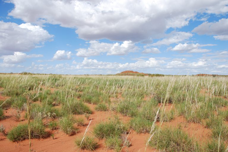 Martu's right to Country - JYAC - Jamukurnu Yapalikurnu Aboriginal ...